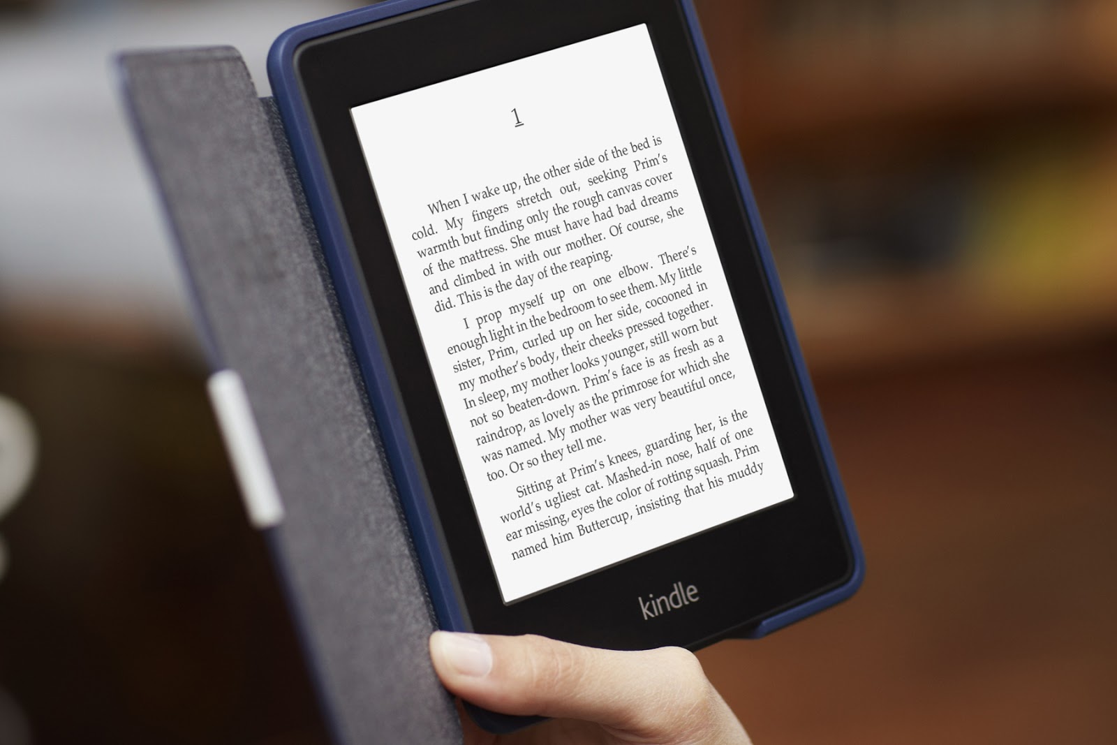 i migliori ebook reader e Kindle: prezzi, caratteristiche e guida all ...